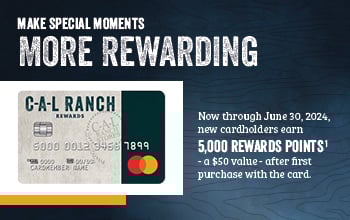 Now through June 30, 2024, new cardholders earn 5,000 Reward Points - a ...
