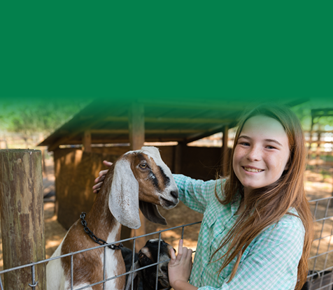 4-H Sign-Up for Discount Program
