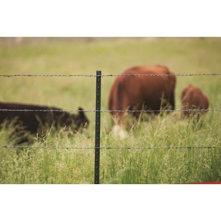 Nucor 1.25# Green T-Post, 6-Ft