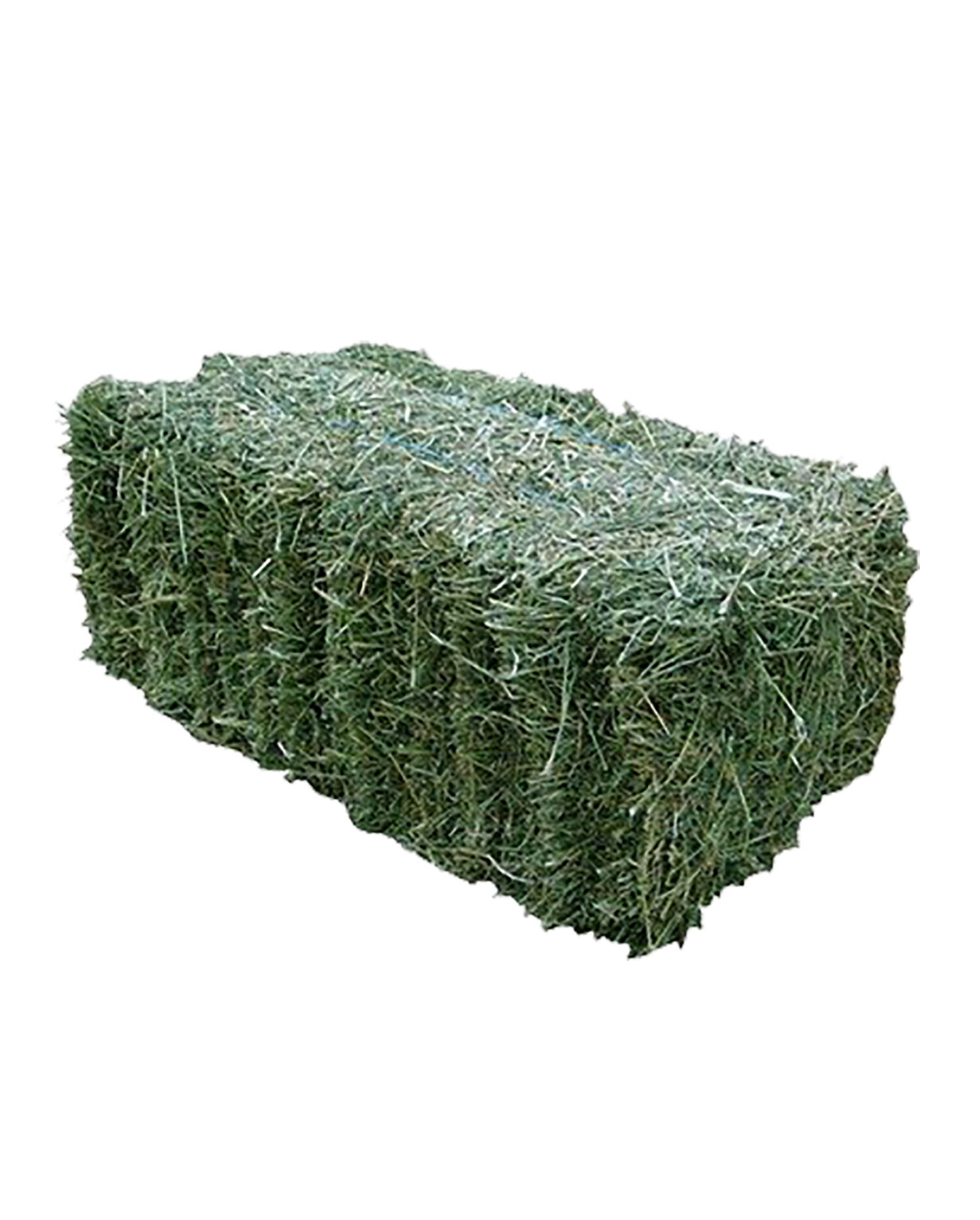 2 Tie Orchard Grass popular Hay Bale