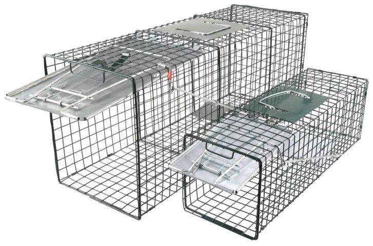 {{resource('Product.Label.Sku')}}: {{sku}}