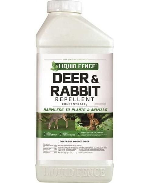 Liquid Fence Deer & Rabbit Repellent Concentrate2, 40-Oz